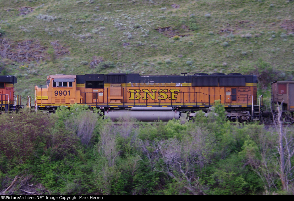 BNSF 9901